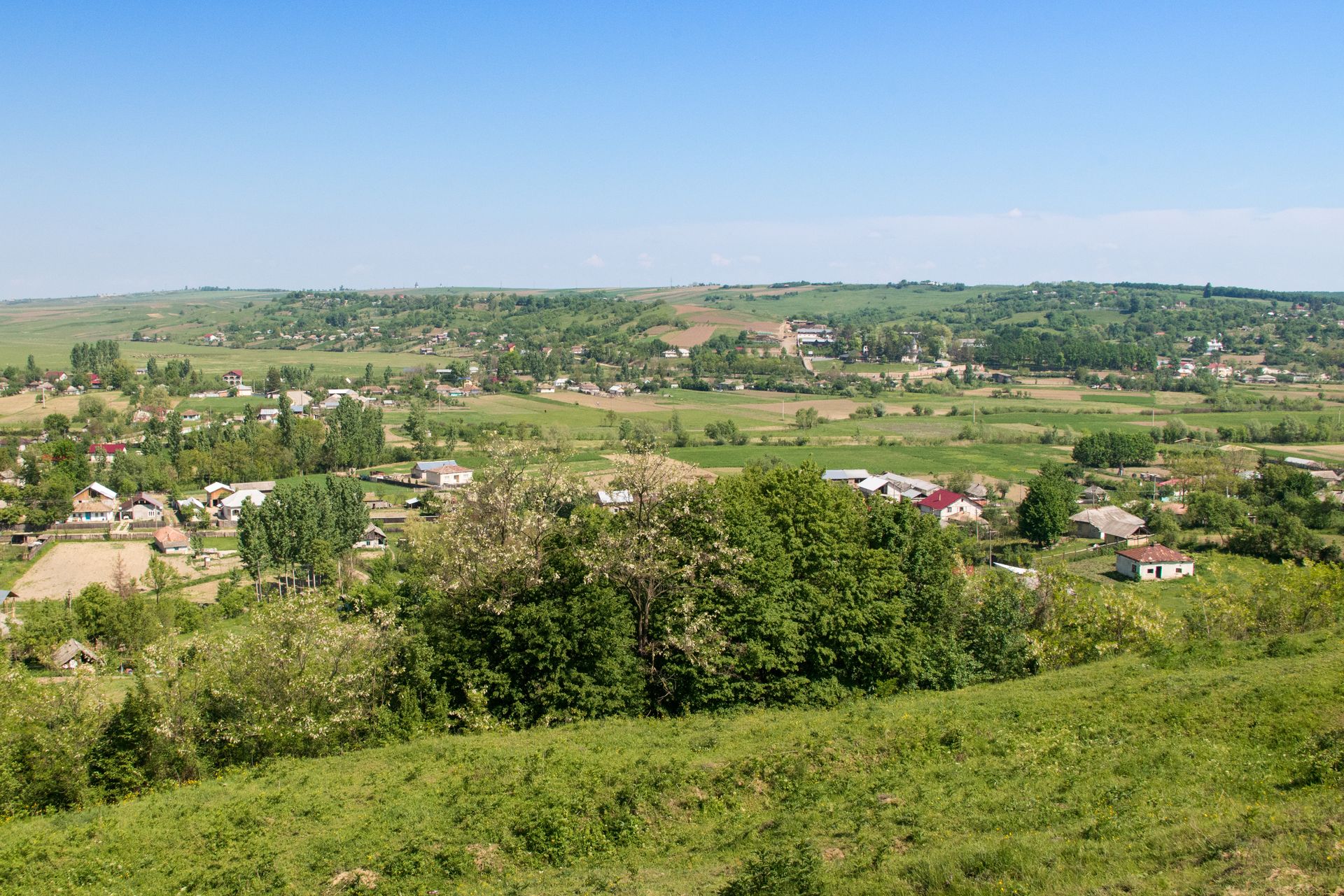 Mănăstirea Coșula | Mănăstirea Coșula