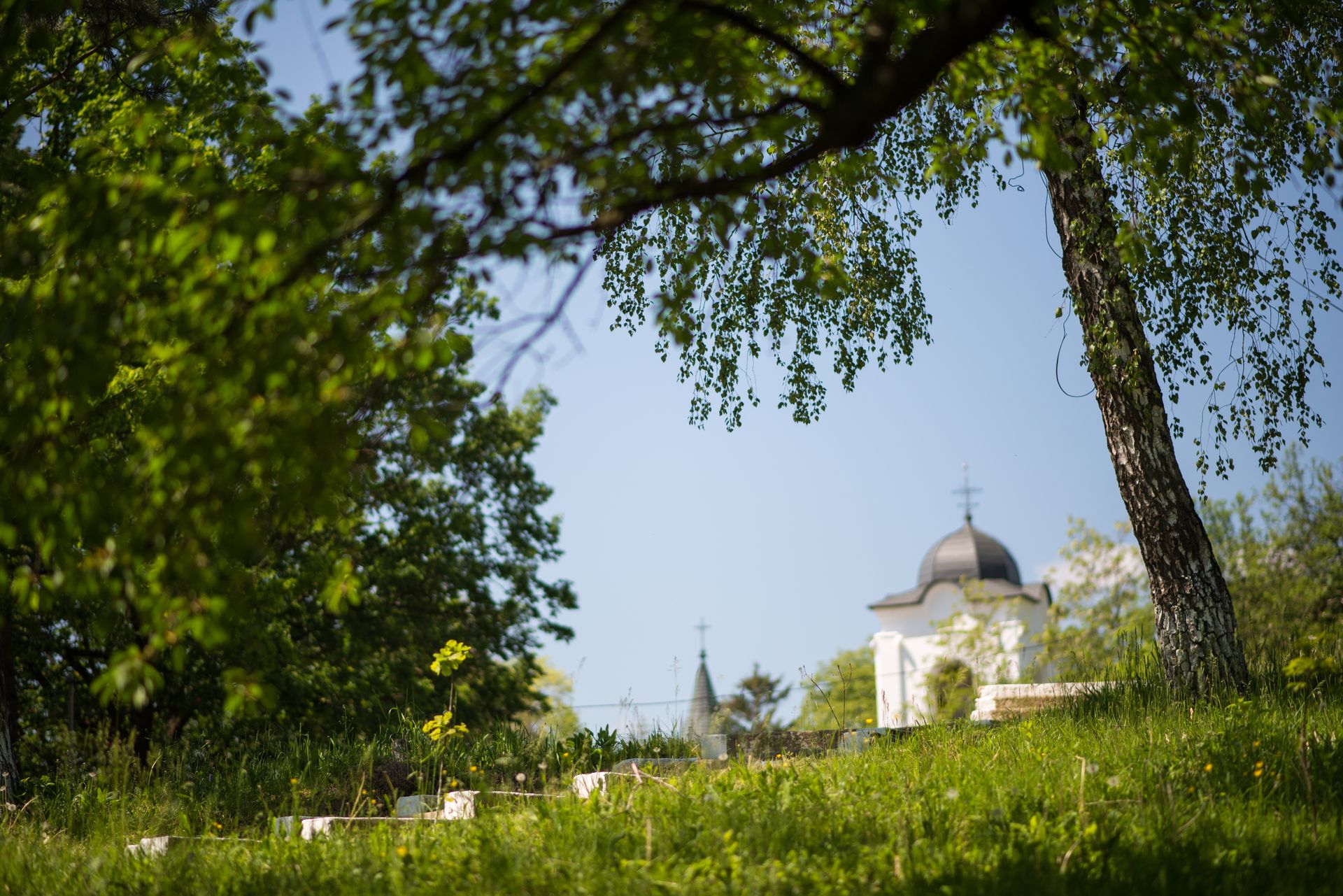 Mănăstirea Coșula | Mănăstirea Coșula